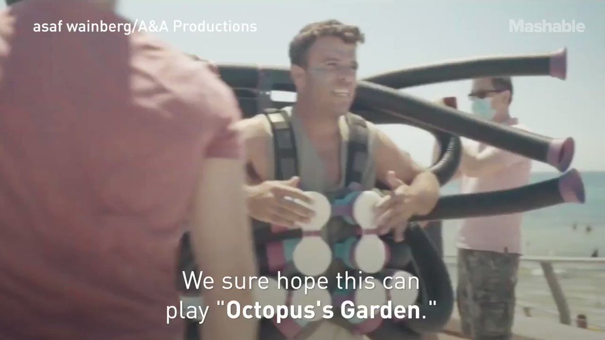 * toca Octopus’s Garden * … – deRedes.tv