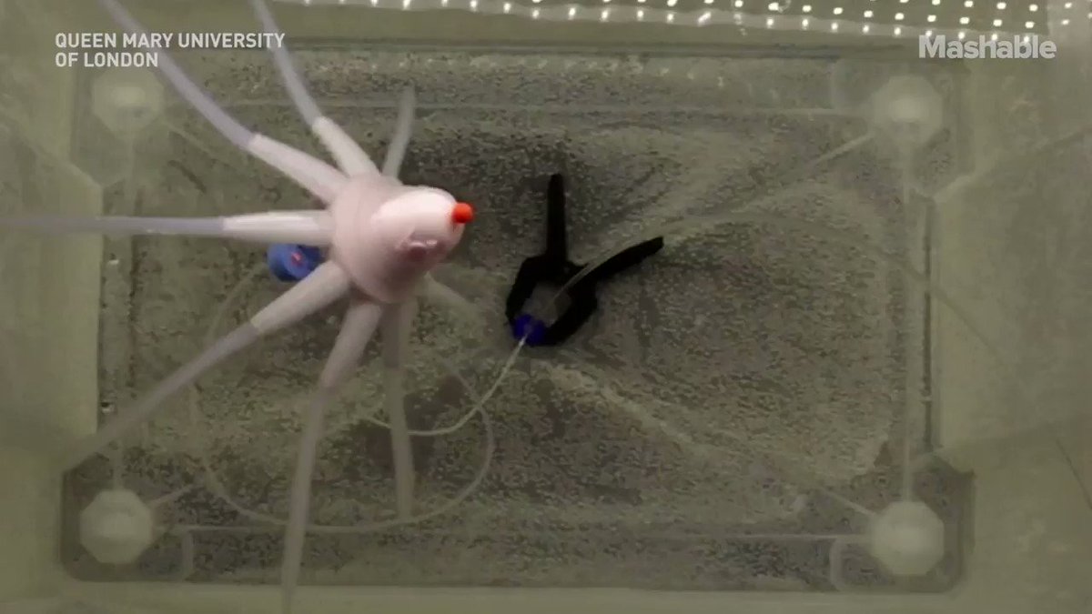 Los científicos construyeron un pulpo robot que se mueve como si fuera ...
