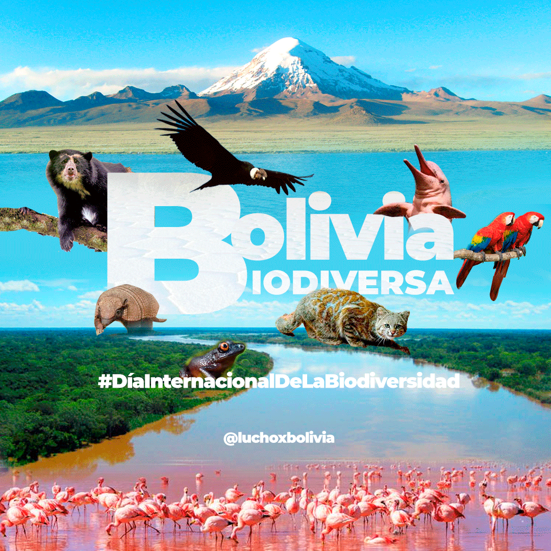 #Bolivia tiene una gran biodiversidad de flora y fauna que debemos ...