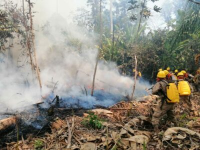 Intensa lluvia sofoca incendios en el Parque Amboró y Roboré – deRedes.tv