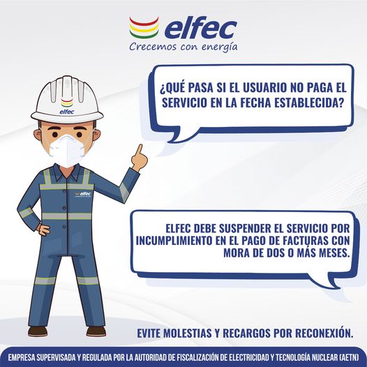 Recuerda que puedes realizar el pago de tu factura de luz desde: www.elfec.bo . Para conocer el ...
