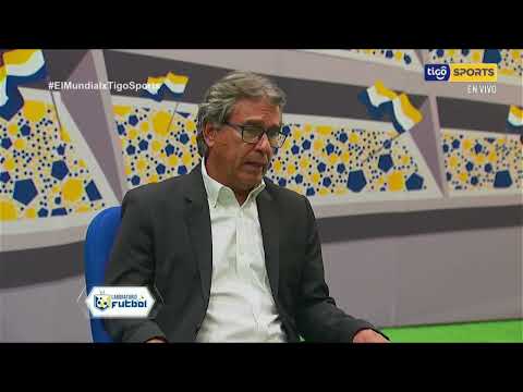🔬Carlos Aragonés: «Veo a Argentina con grandes posibilidades de llegar ...