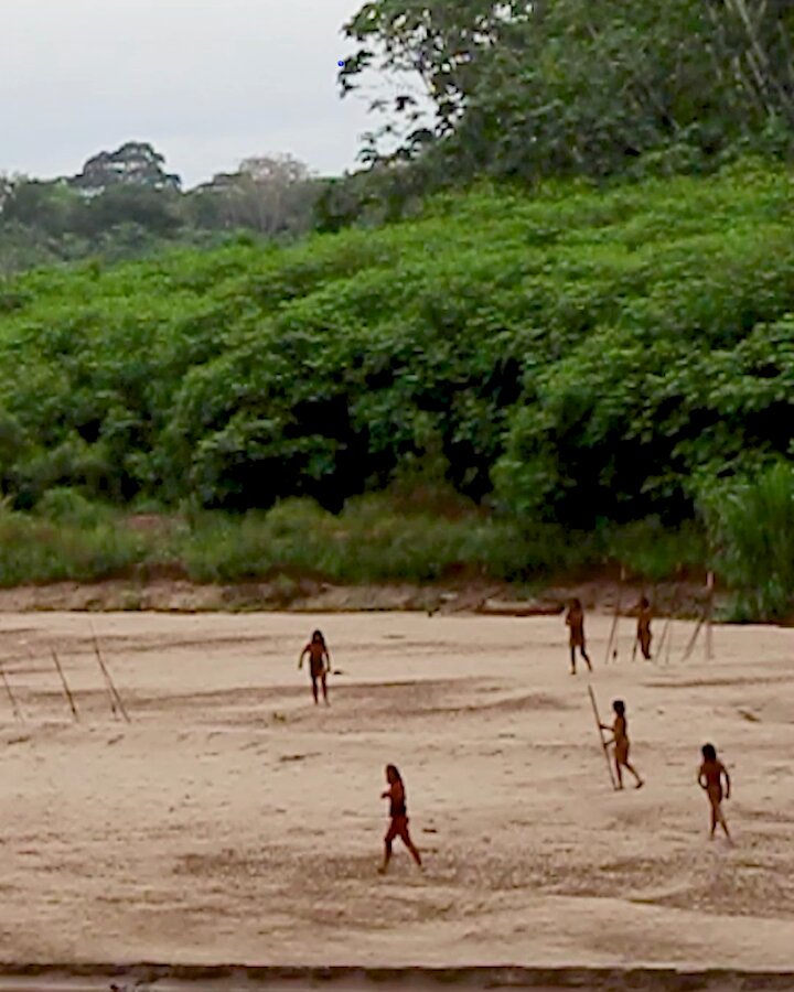 Extraordinarias imágenes muestran a los Mashco Piro, la mayor tri ...