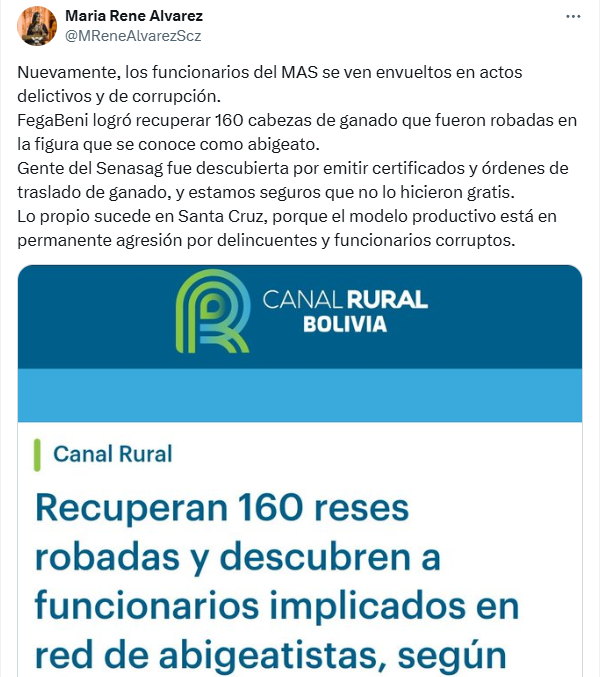 | La diputada de Creemos María René Álvarez denuncia que «funcionarios ...