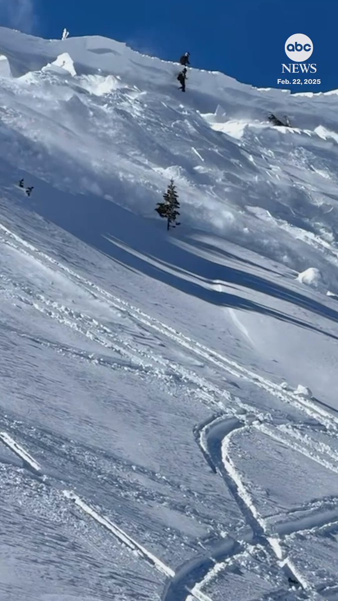 🇺🇸 | Impactante avalancha en Colorado: un fotógrafo captó el momento ...