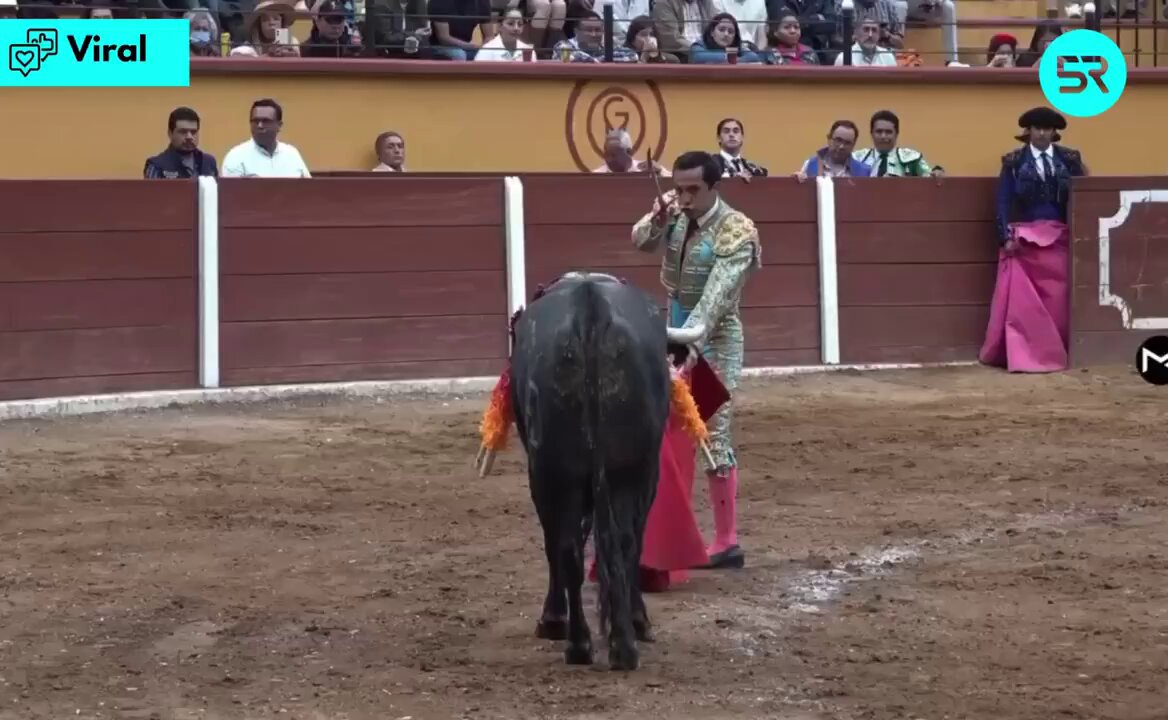 🇲🇽 | El torero mexicano Emilio Macías está grave pero estable tras la ...