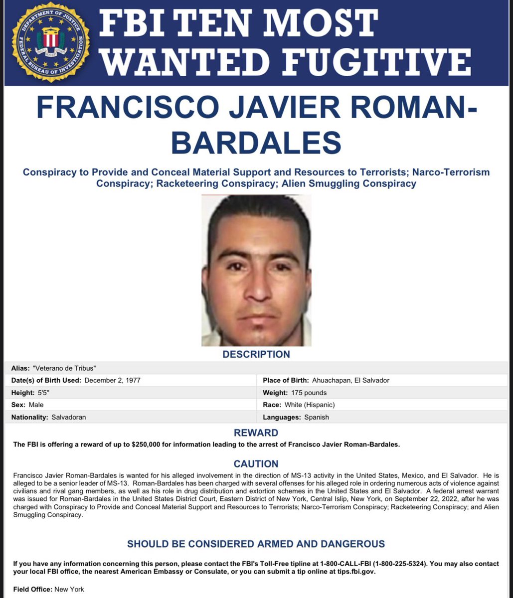 🇲🇽🇺🇸🇸🇻 | Capturan en México a Francisco Javier Roman-Bardales, líder de ...