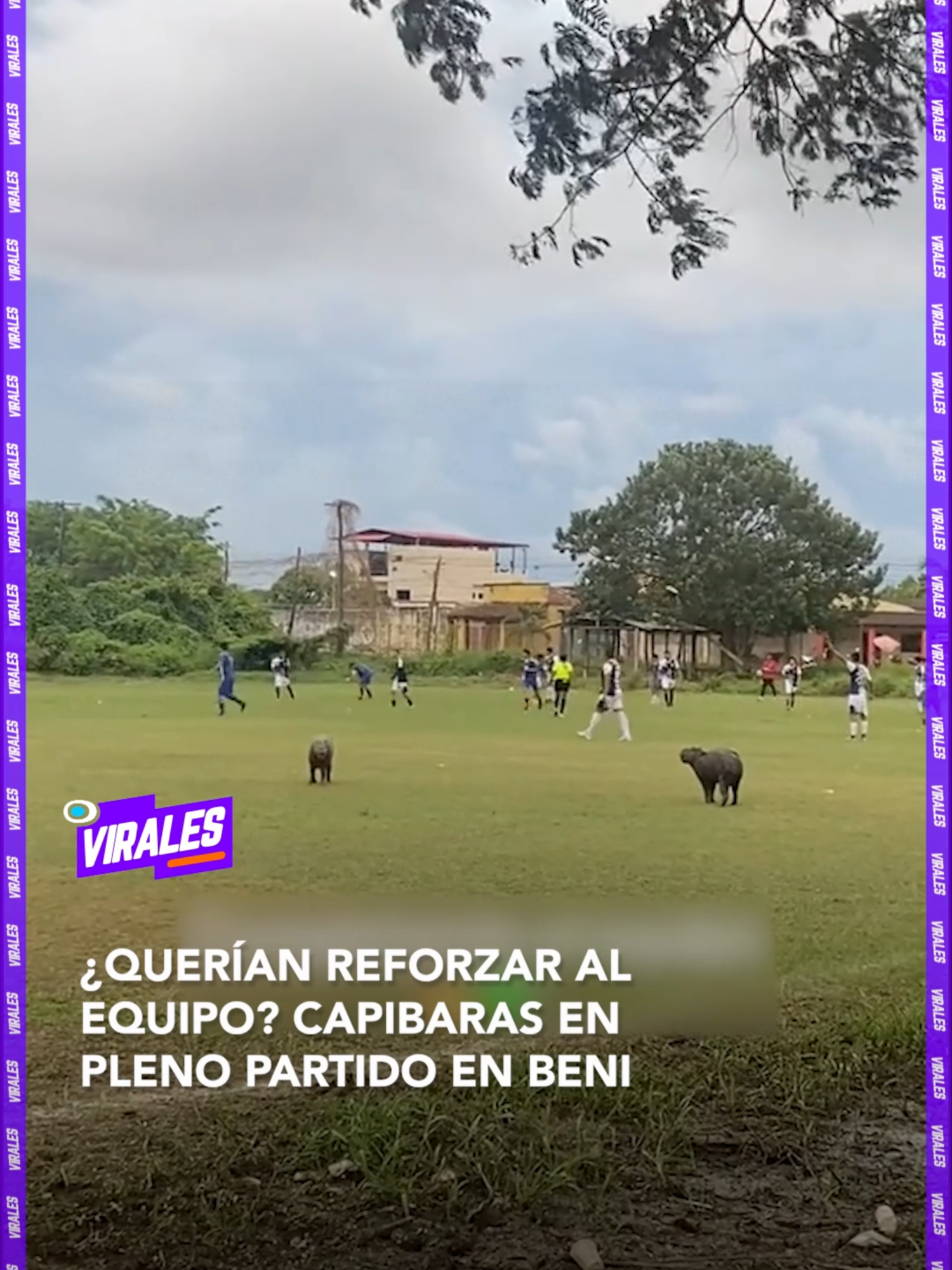 | Un curioso hecho ocurrió durante un partido de fútbol en el Beni ...