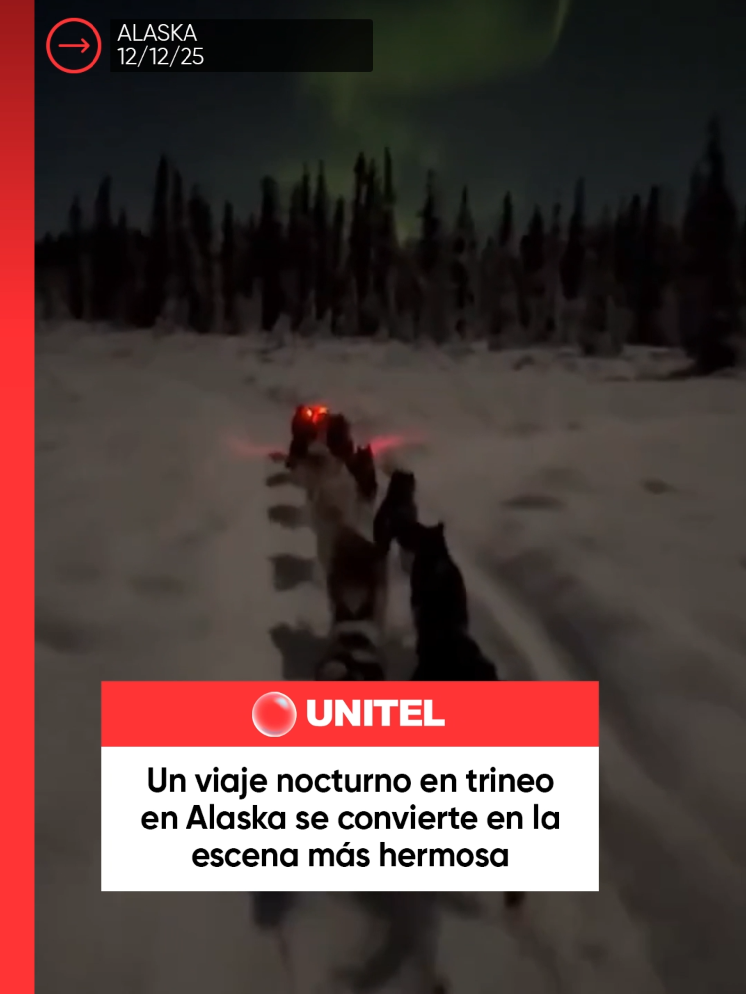 Magia pura en Alaska: un viajero registró un paseo en trineo iluminado ...