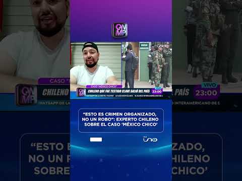 “Esto es crimen organizado, no un robo”: experto chileno sobre el caso ...