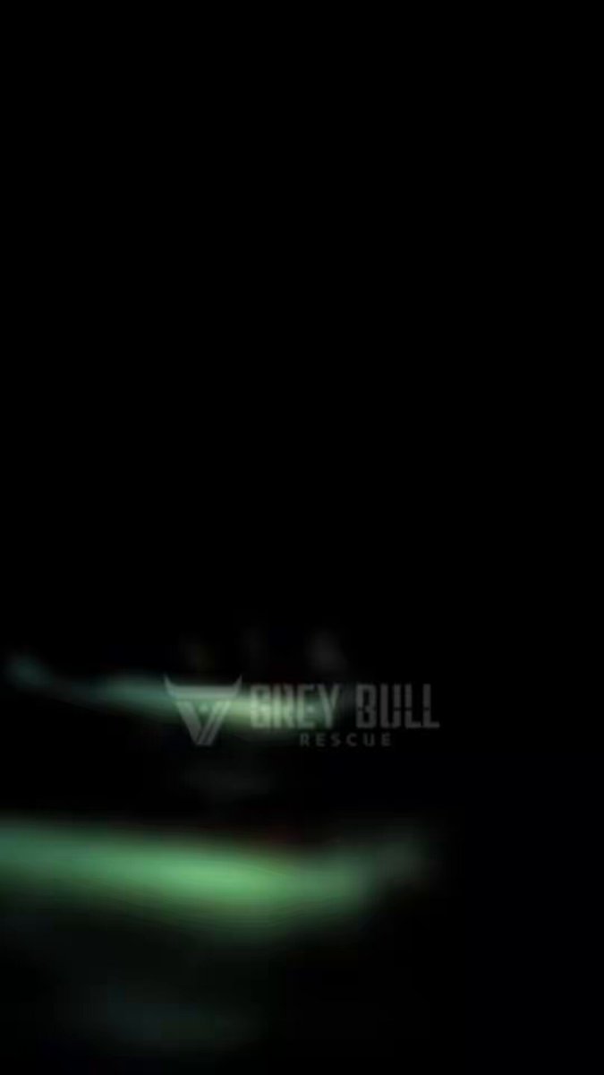 🇺🇸🇻🇪 | «Soy María Corina Machado. Estoy viva y a salvo y muy agradecida ...