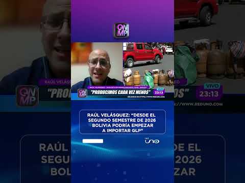 Raúl Velásquez: “Desde el segundo semestre de 2026 Bolivia podría ...