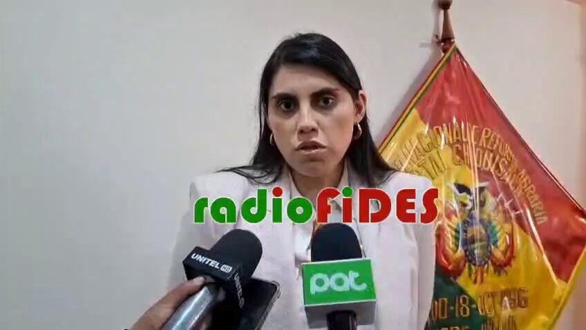#GrupoFides | #ANF #Política La viceministra de Autonomías, Andrea ...