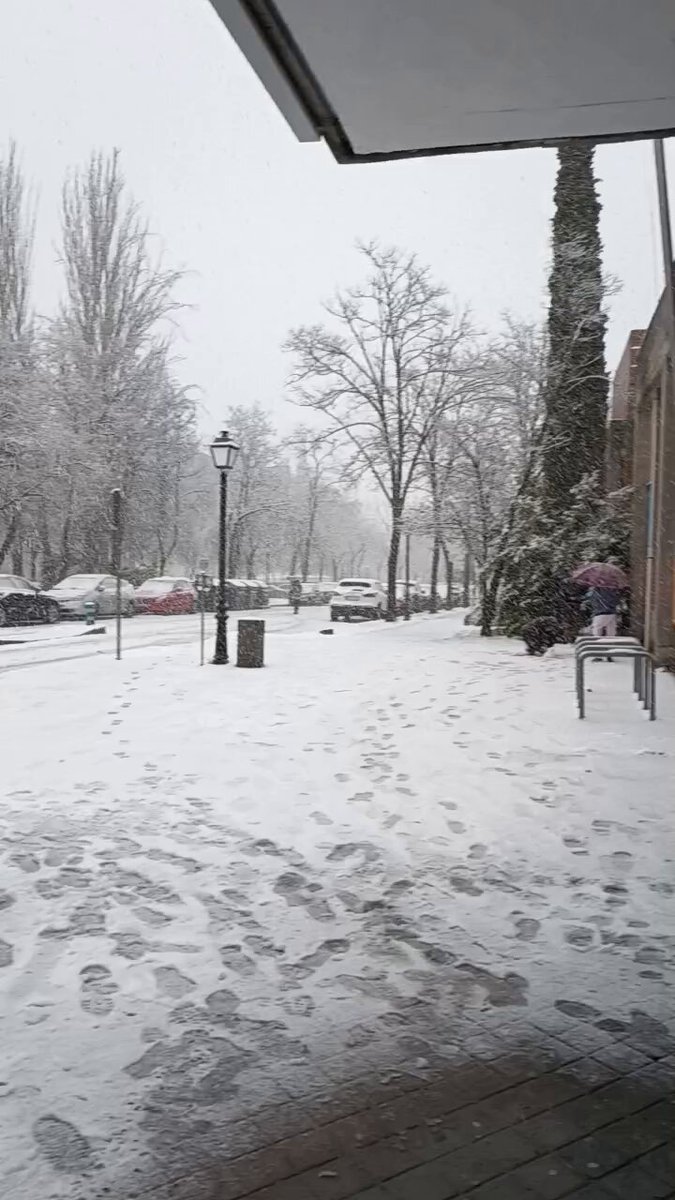 🇪🇸️ | Madrid se viste de blanco. La nieve sorprende a la capital ...