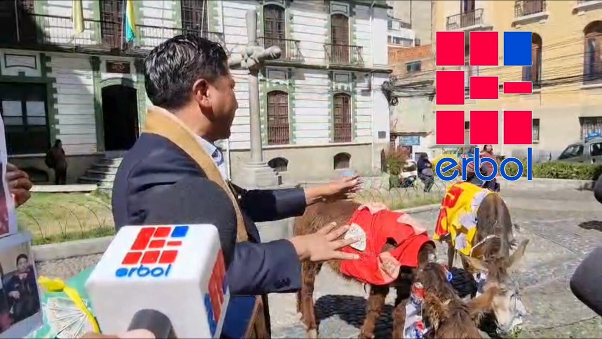 Leopoldo Chui presenta burros como Luis Revilla, Félix Patzi y Santos ...